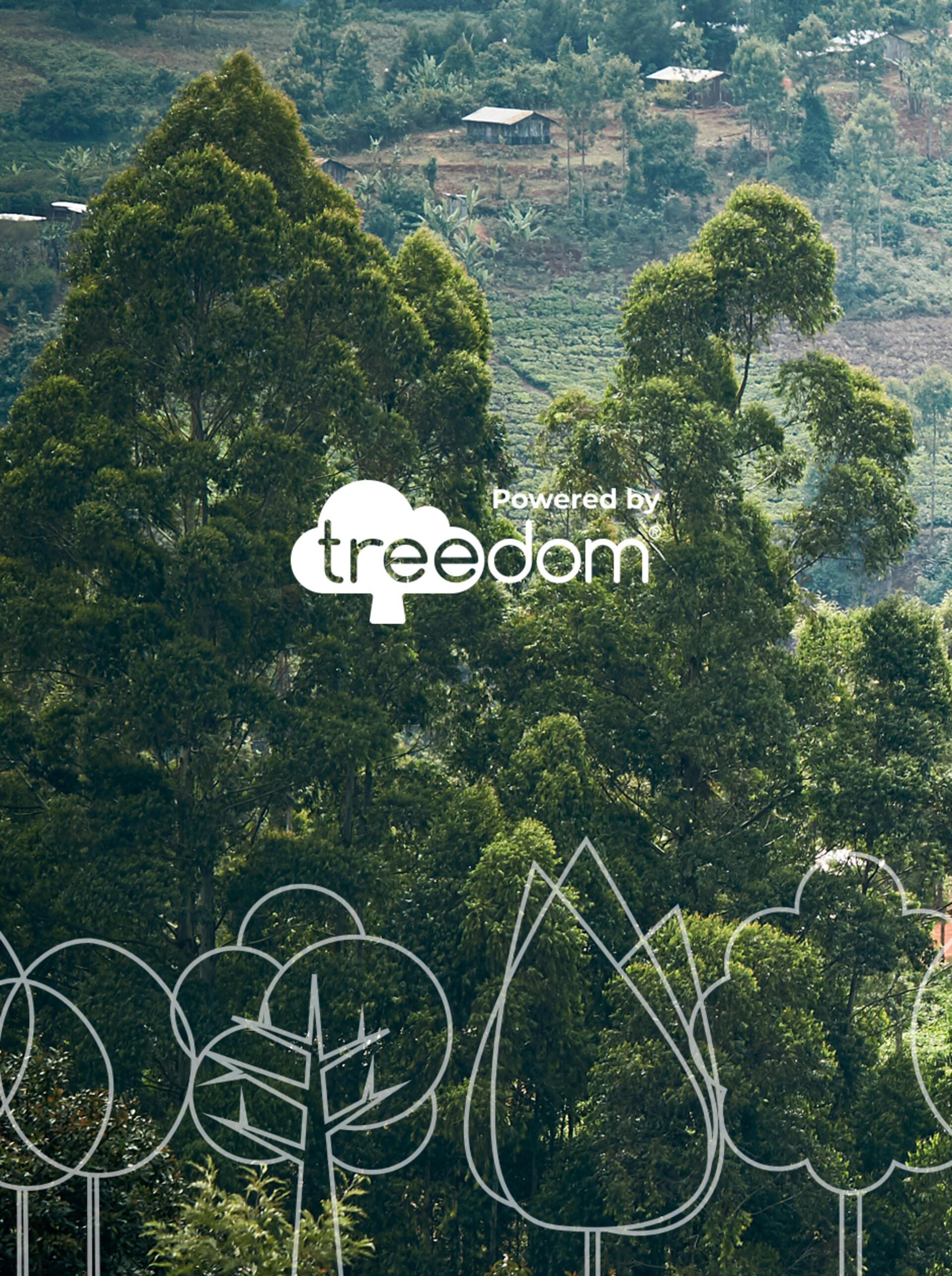 800 more trees for the Arredo3 Treedom forest - Arredo3